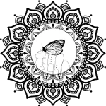 About Us – Middle Path Movement Yoga School